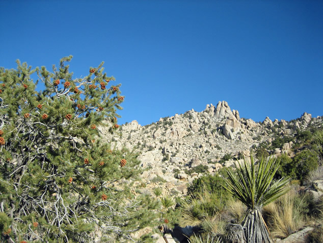 Max Carmichael: About: Southern Paiute Homelands